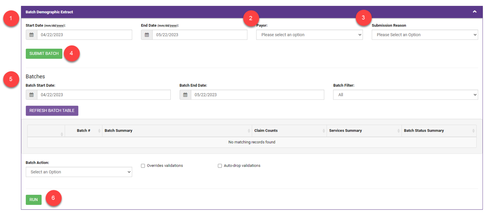 Demographic Extract – Axiom